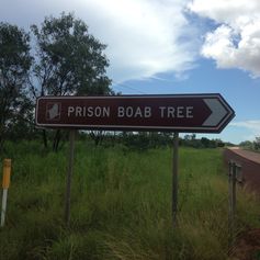 Dark Tourism, Aboriginal Imprisonment and the ‘Prison Tree’ That Wasn’t