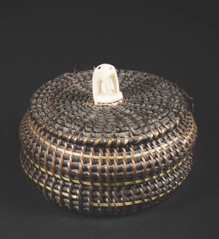 baleen plates function