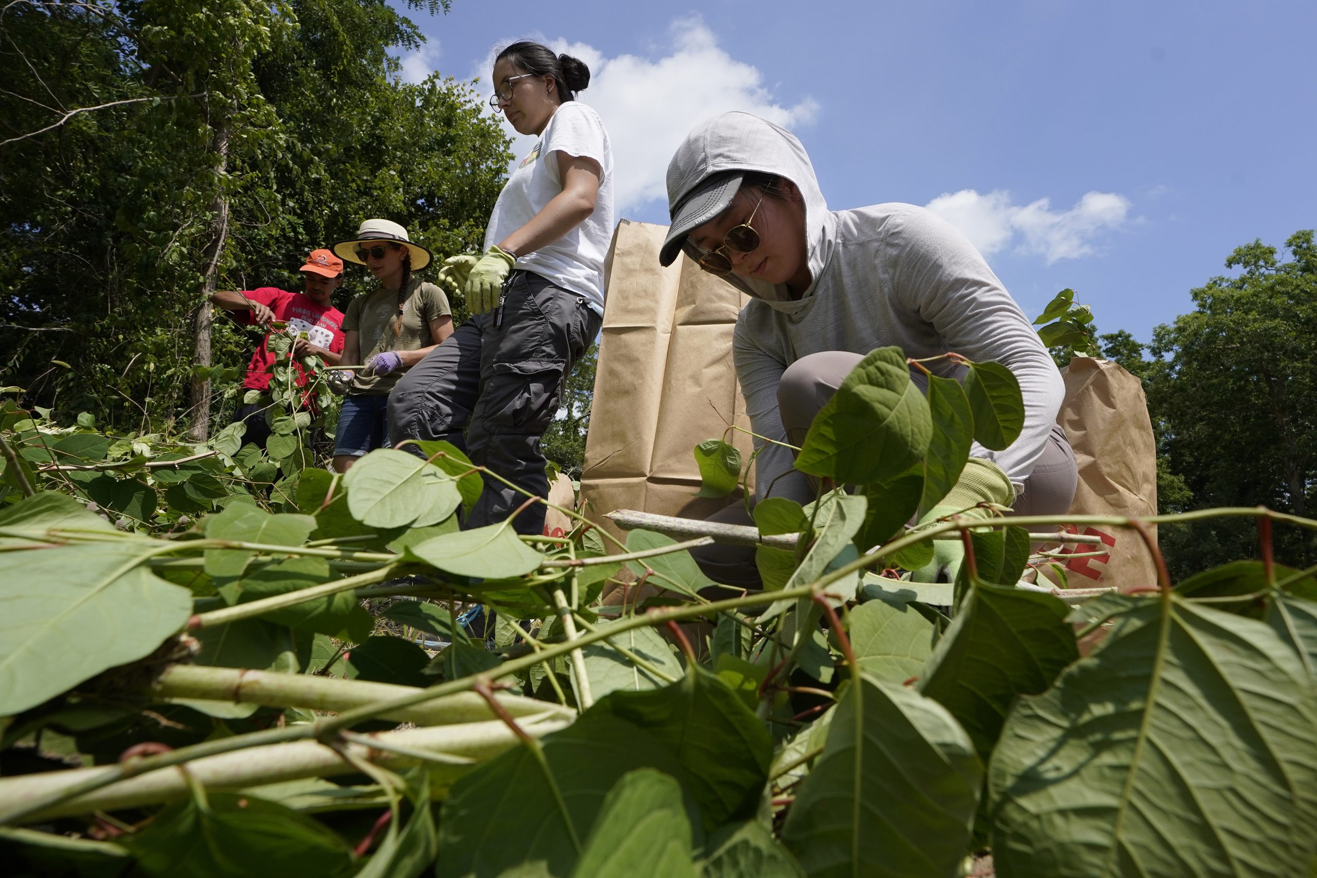 Restoring Native lands - ICT