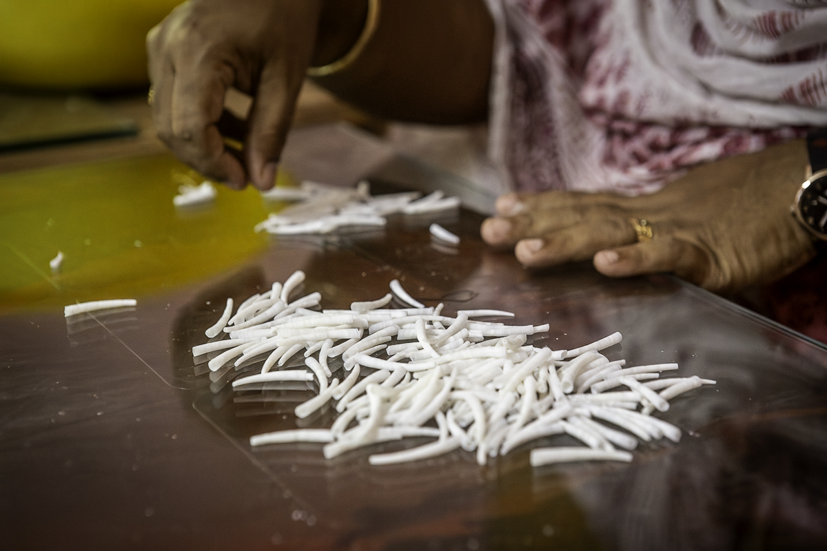 The journey of dentalium: Tracing ancient trade routes along the Upper ...