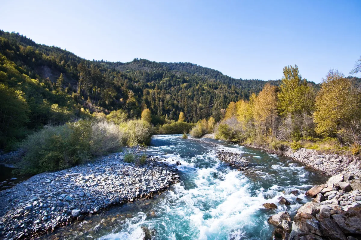 Yurok Tribe celebrates largest land back deal in California history - ICT